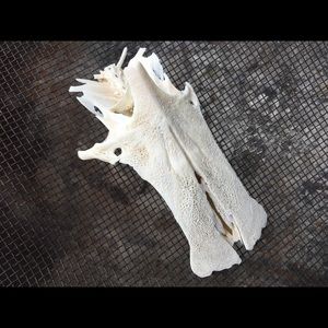 Other | Fish Bone Crucifix | Poshmark